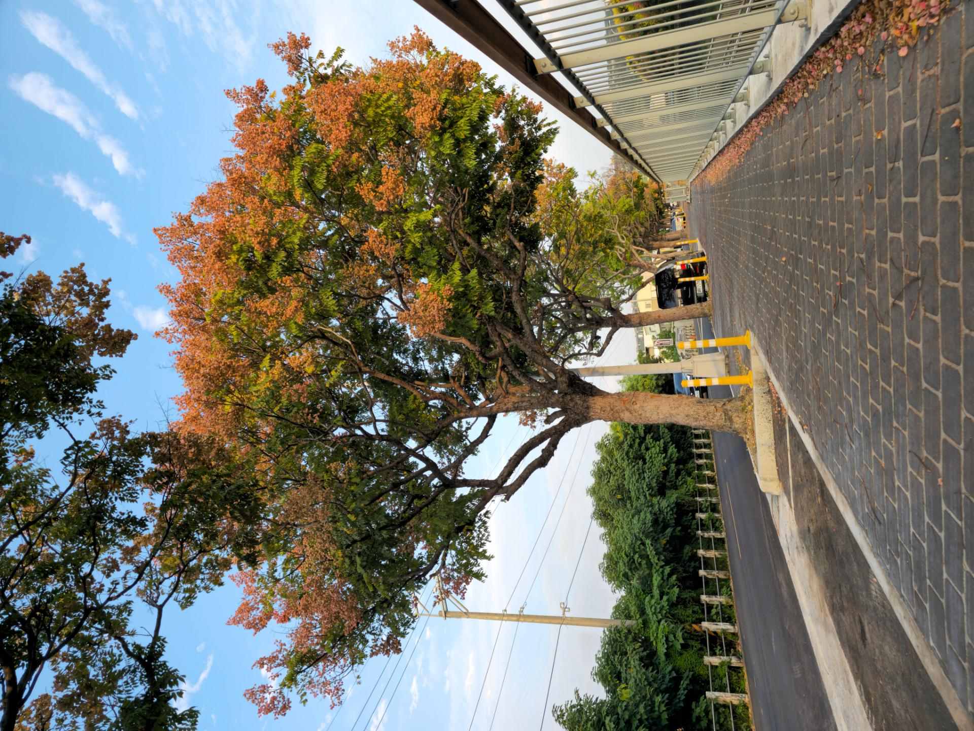 RE:【問題】3萬預算 S23U還是i15 @智慧型手機 哈啦板 - 巴哈姆特