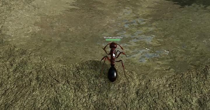 【攻略】 Ant Life v2攻略 @ROBLOX 哈啦板 - 巴哈姆特