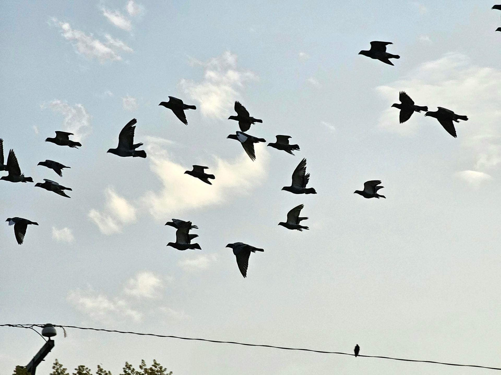 【問題】3萬預算 S23U還是i15 @智慧型手機 哈啦板 - 巴哈姆特