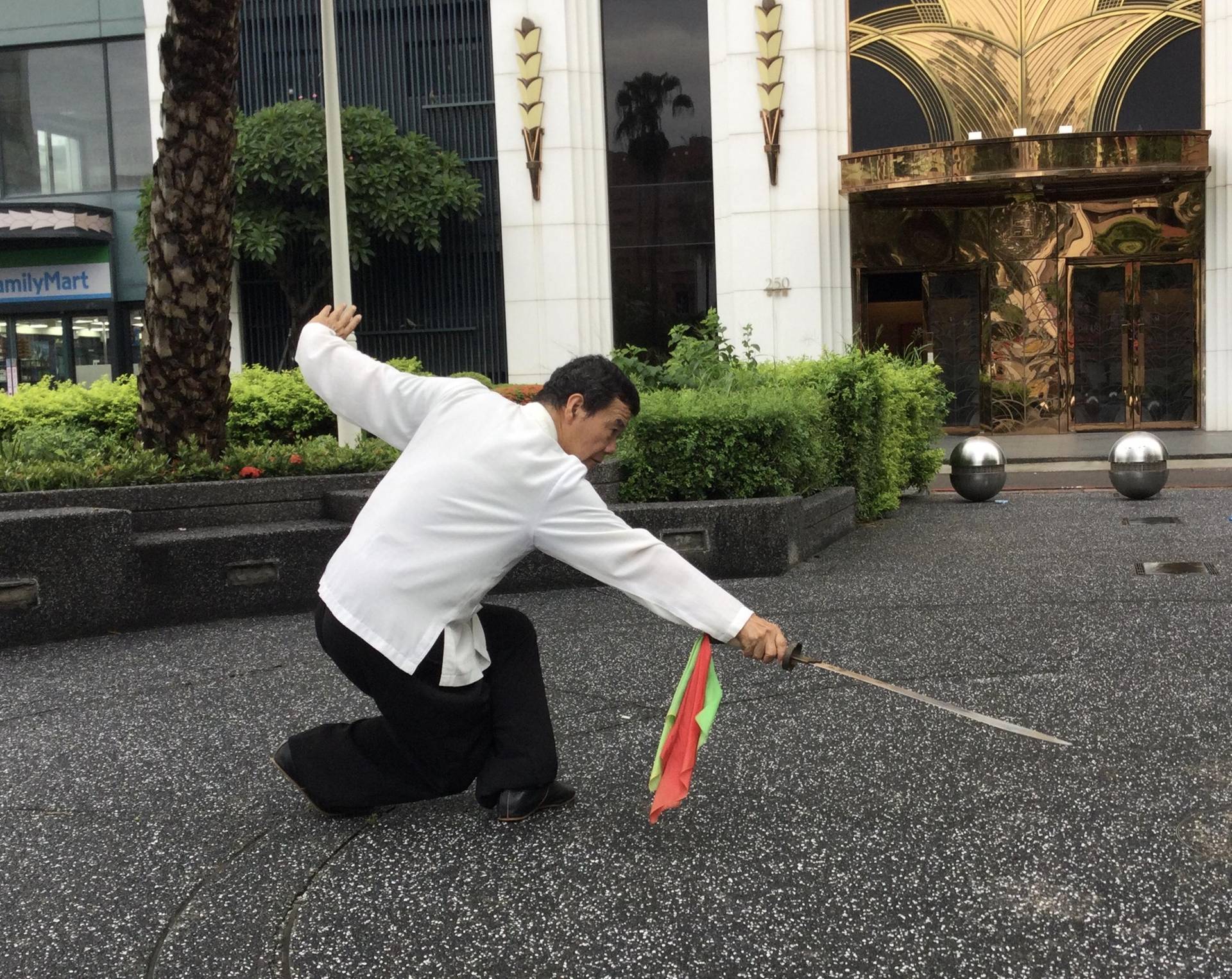 [達人專欄] 松溪夜行刀～15仆步下截、16蓋步下截 - lkkchl2022的創作 - 巴哈姆特