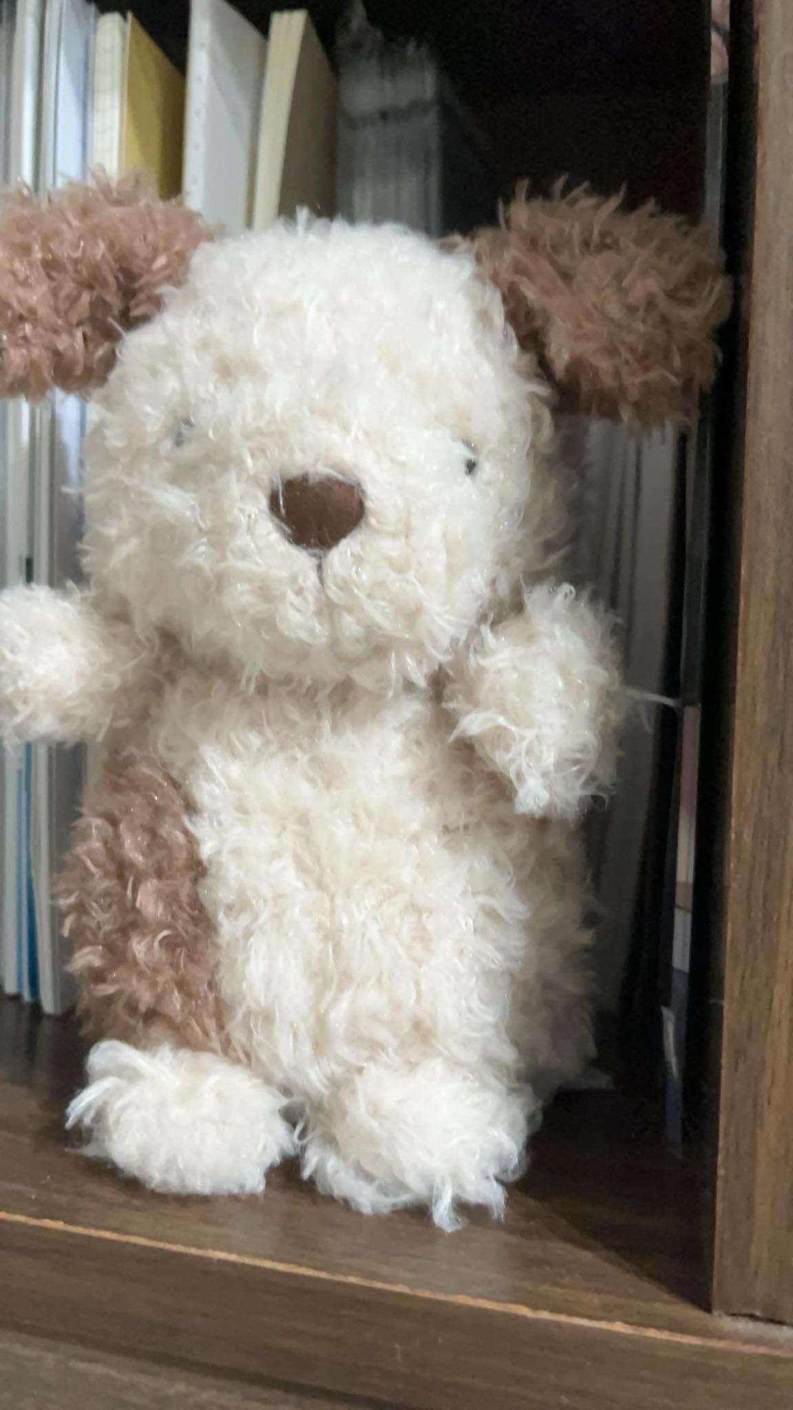 JELLYCAT小狗狗分享 - jamie033138的創作 - 巴哈姆特