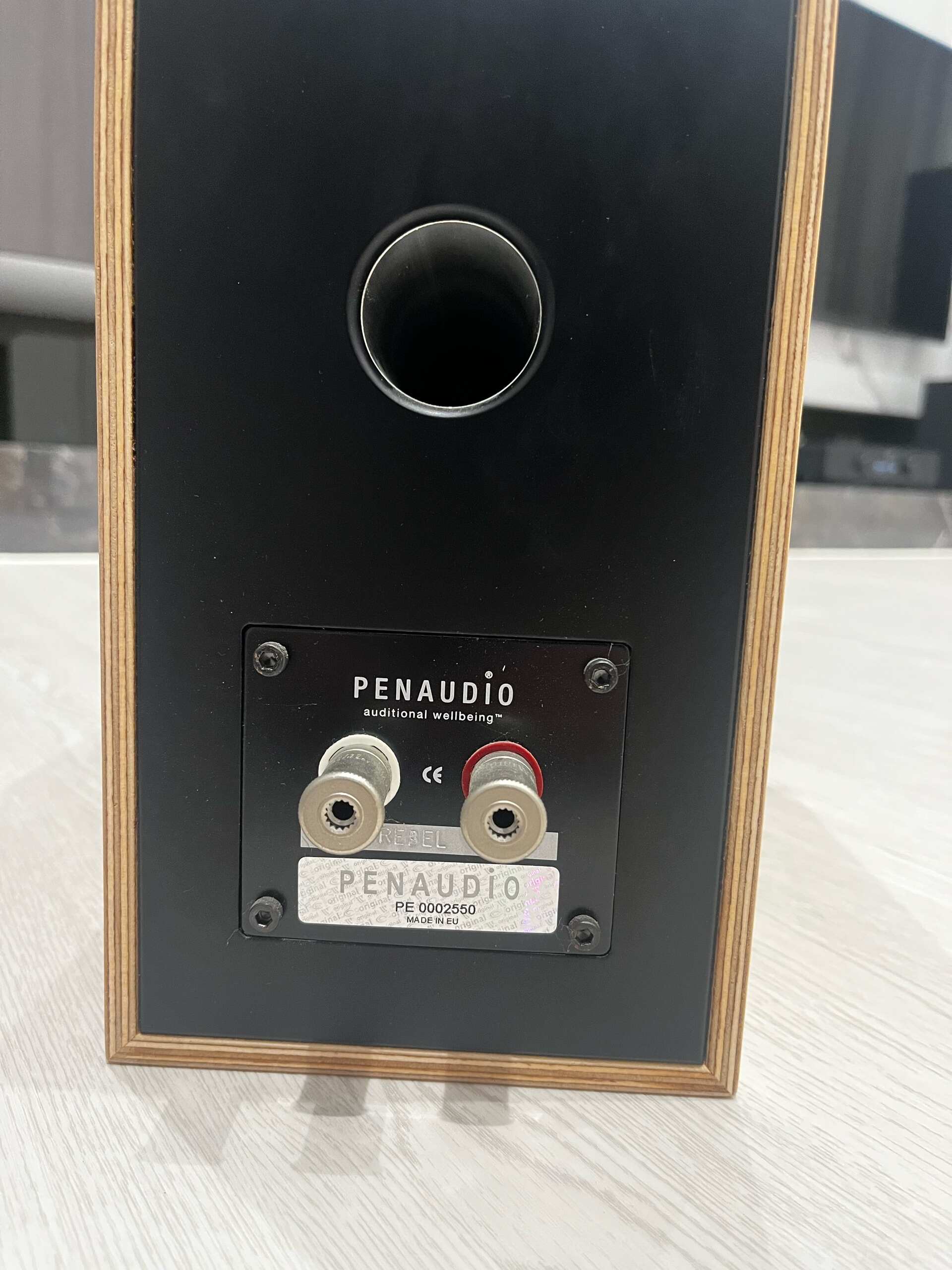 【問題】penaudio rebel 喇叭型號一問，求大神解惑 @影音視聽討論區 哈啦板 - 巴哈姆特