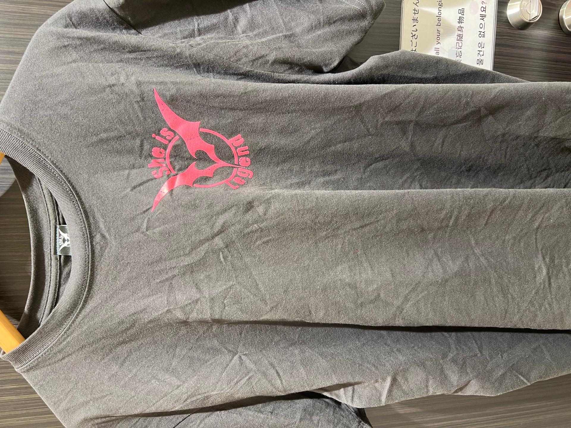 【心得】『She is Legend Live Tour 2023 "Extreme Flag"』Tour Final 豊洲PIT @緋染天空 ...