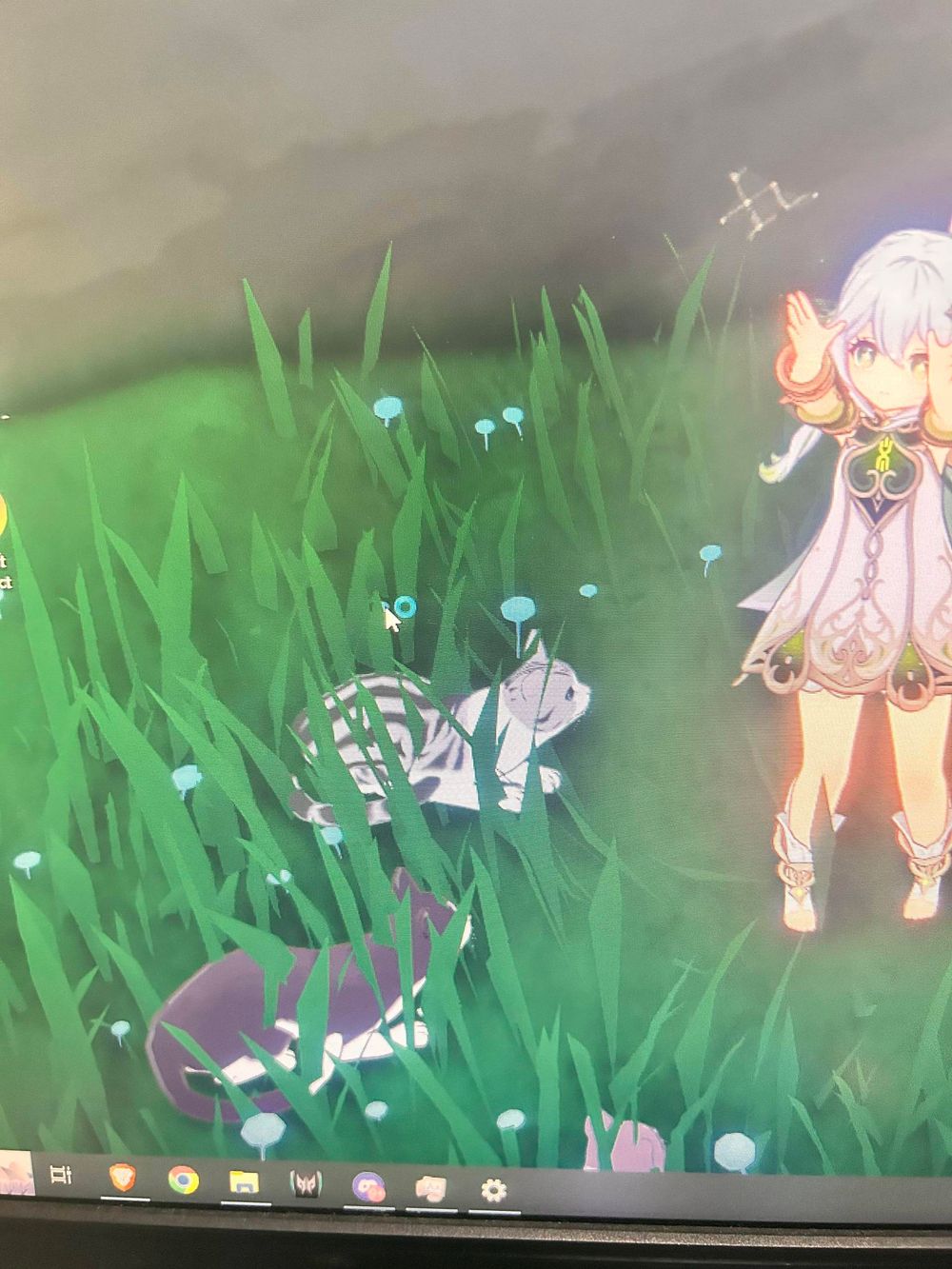 【問題】我的鼠標一直跑藍色圈圈 @電腦應用綜合討論 哈啦板 - 巴哈姆特