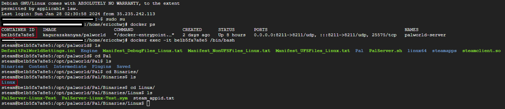 【情報】民間高手釋出的memory leak解決方案（1/29後不用點進來了） @幻獸帕魯 哈啦板 - 巴哈姆特