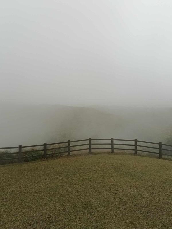 社博 & 陽明山一日遊 - laranja1005的創作 - 巴哈姆特