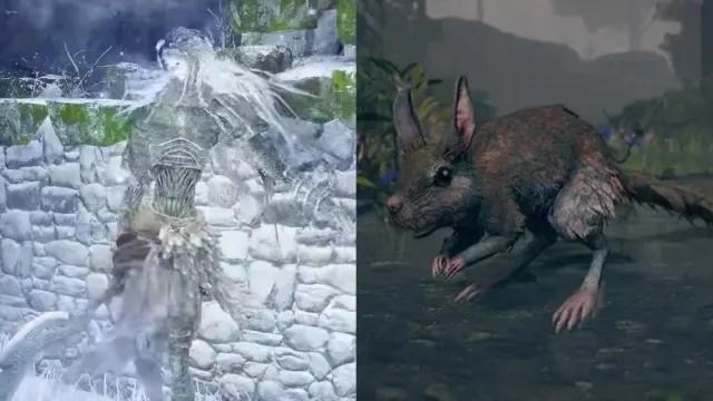 【閒聊】跟著「靈體松鼠」（Springhare，外表像是松鼠與兔子合體），可以避開戰鬥直達寶箱 @艾爾登法環 系列 哈啦板 - 巴哈姆特