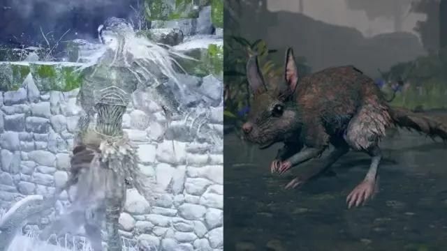 【閒聊】跟著「靈體松鼠」（Springhare，外表像是松鼠與兔子合體），可以避開戰鬥直達寶箱 @艾爾登法環 系列 哈啦板 - 巴哈姆特