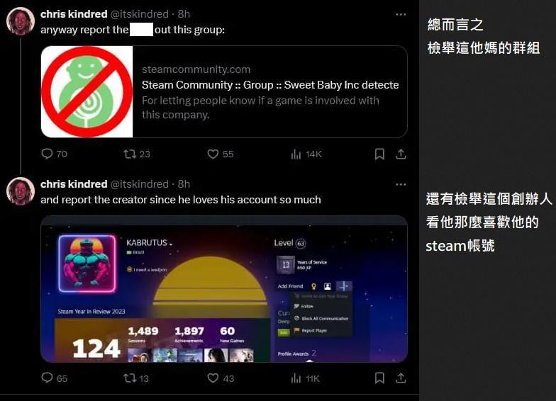 【情報】最近鬧得沸沸揚揚的Steam鑒賞家『Sweet Baby Inc detected』 @Steam 綜合討論板 哈啦板 - 巴哈姆特