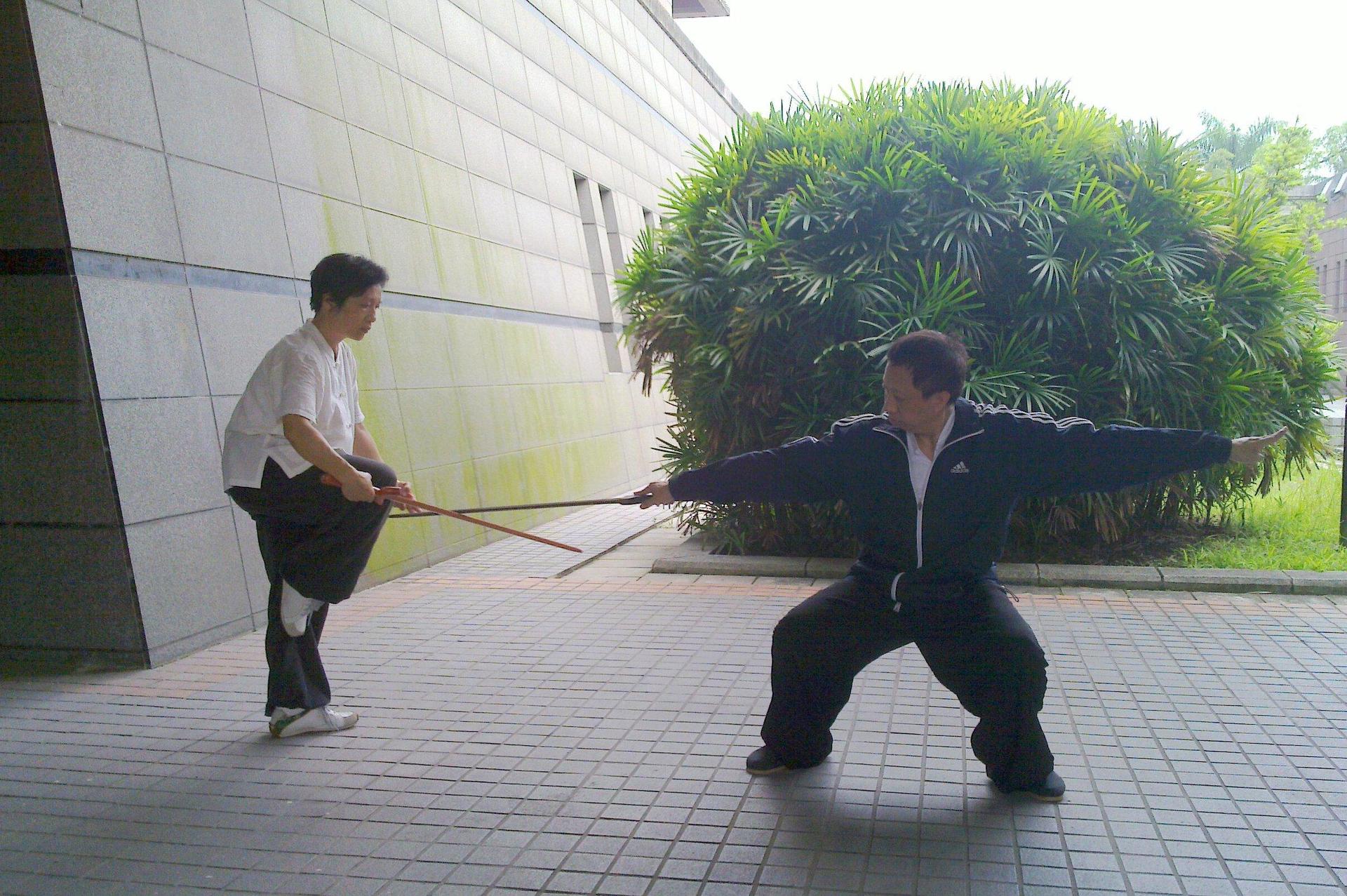 [達人專欄] 熊門太極對劍雙練～34烏龍擺尾vs撥草尋蛇 - lkkchl2022的創作 - 巴哈姆特