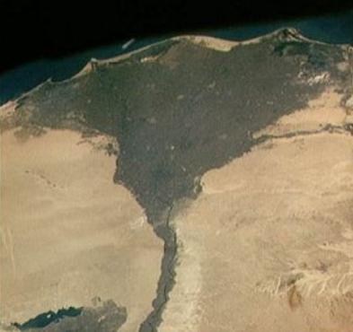 【情報】官方角色立繪：賽索斯｜衡明知度．沙原的使者 @原神 哈啦板 - 巴哈姆特