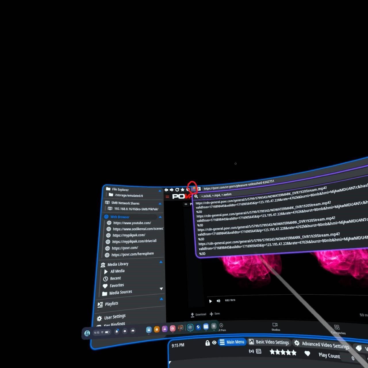 【心得】HereSphere 如何播放網頁資源如SLR,POVR,VRPON影片 @VR 虛擬實境綜合討論 哈啦板 - 巴哈姆特