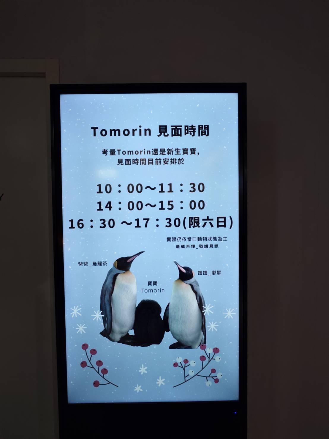 RE:【情報】【國王企鵝寶寶誕生！企(起)名大師就是我】最終企名為13622個留言的【Tomorin】 @BanG Dream！ 哈啦板 - 巴哈姆特