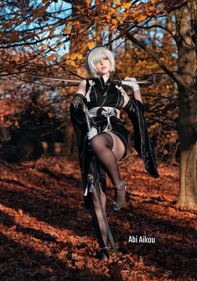 RE:【閒聊】[分享]各式奈米衣Cosplay ft. Abi Aikou @劍星 哈啦板 - 巴哈姆特