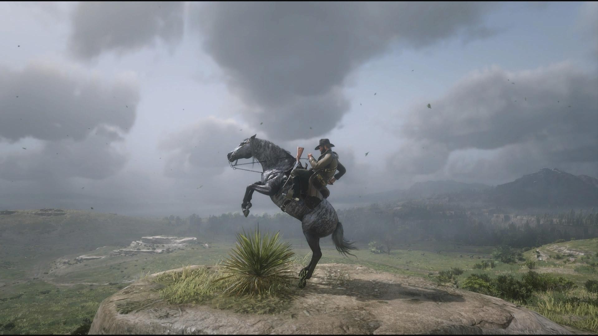 【攻略】RDR2 完整版攻略地圖 @碧血狂殺 哈啦板 - 巴哈姆特