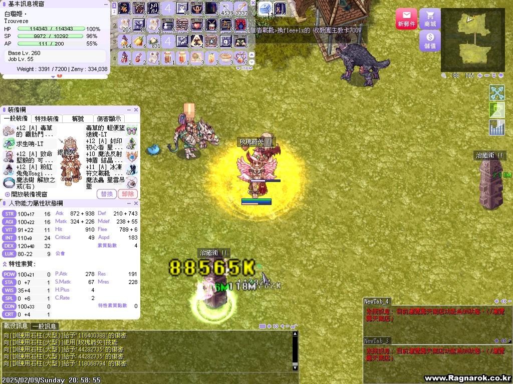 【問題】玫瑰箭矢(詩人)求健檢 @RO 仙境傳說 Online 哈啦板 - 巴哈姆特