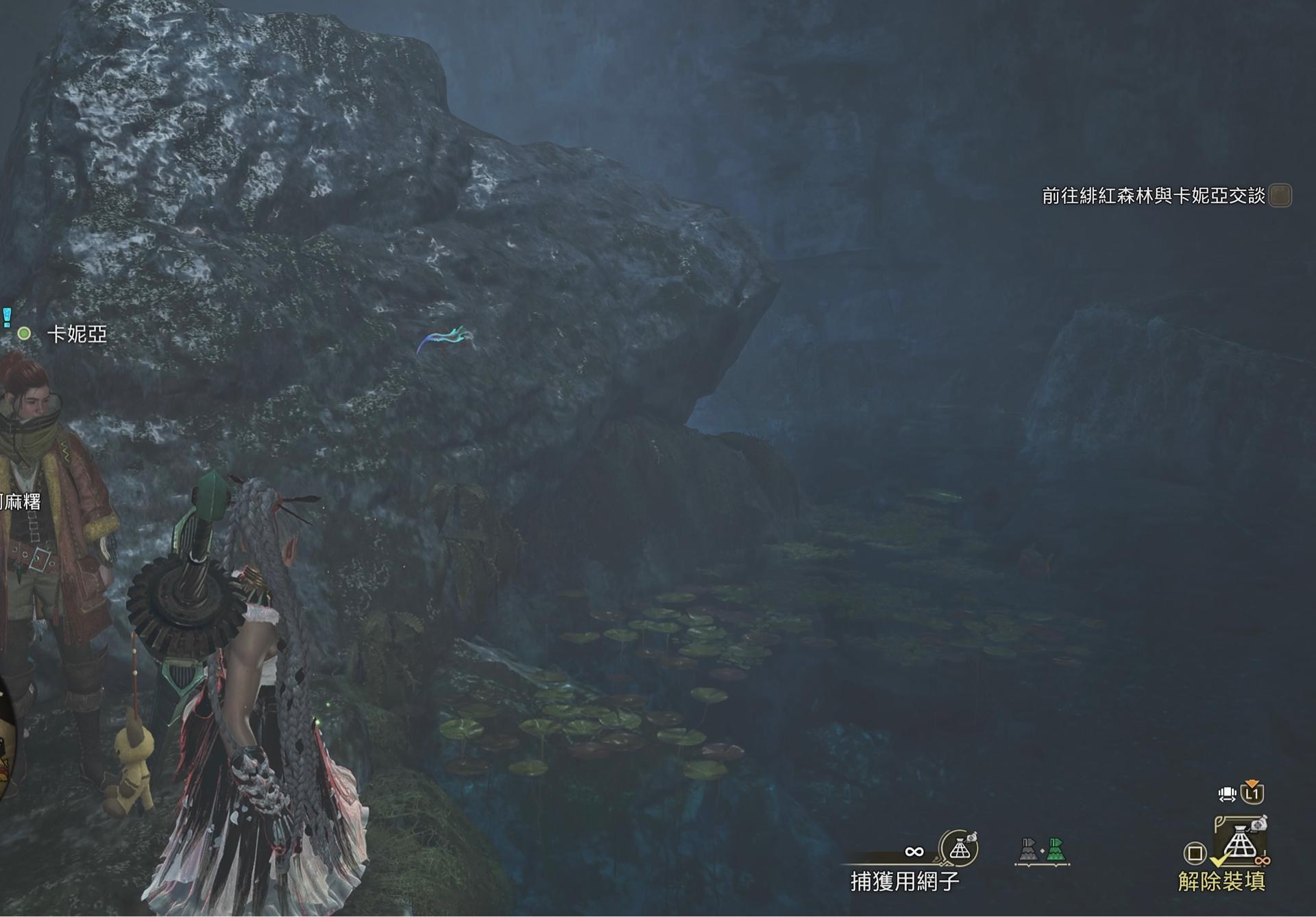 【問題】請問這隻特殊蜥蜴怎麼抓？ @魔物獵人 系列 哈啦板 - 巴哈姆特