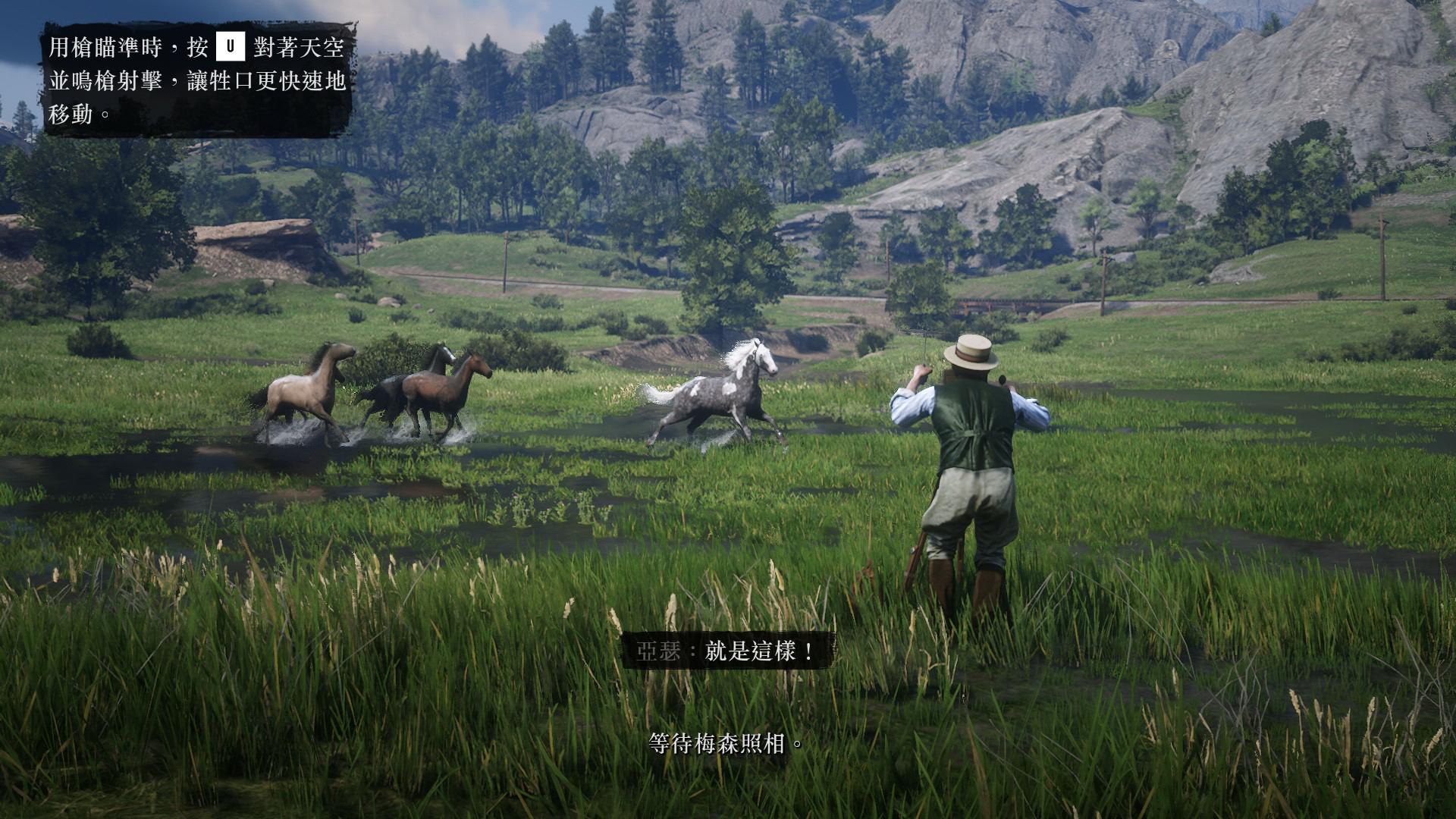 【閒聊】現在PC版的攝影師支線不讓你抓"狐步馬"了..！ @碧血狂殺 哈啦板 - 巴哈姆特