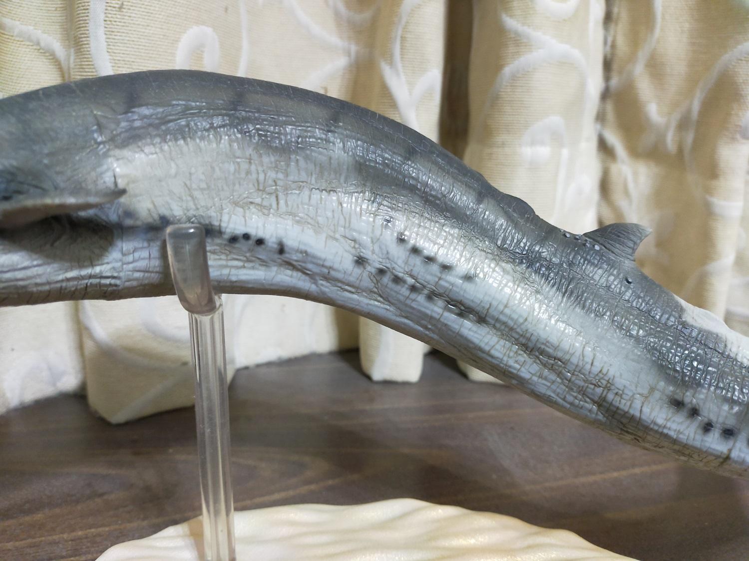 [達人專欄] 中國PNSO牌 恐龍大王系列 Basilosaurus & Megalodon 龍王鯨 巨齒鯊 - leviathan728的 ...