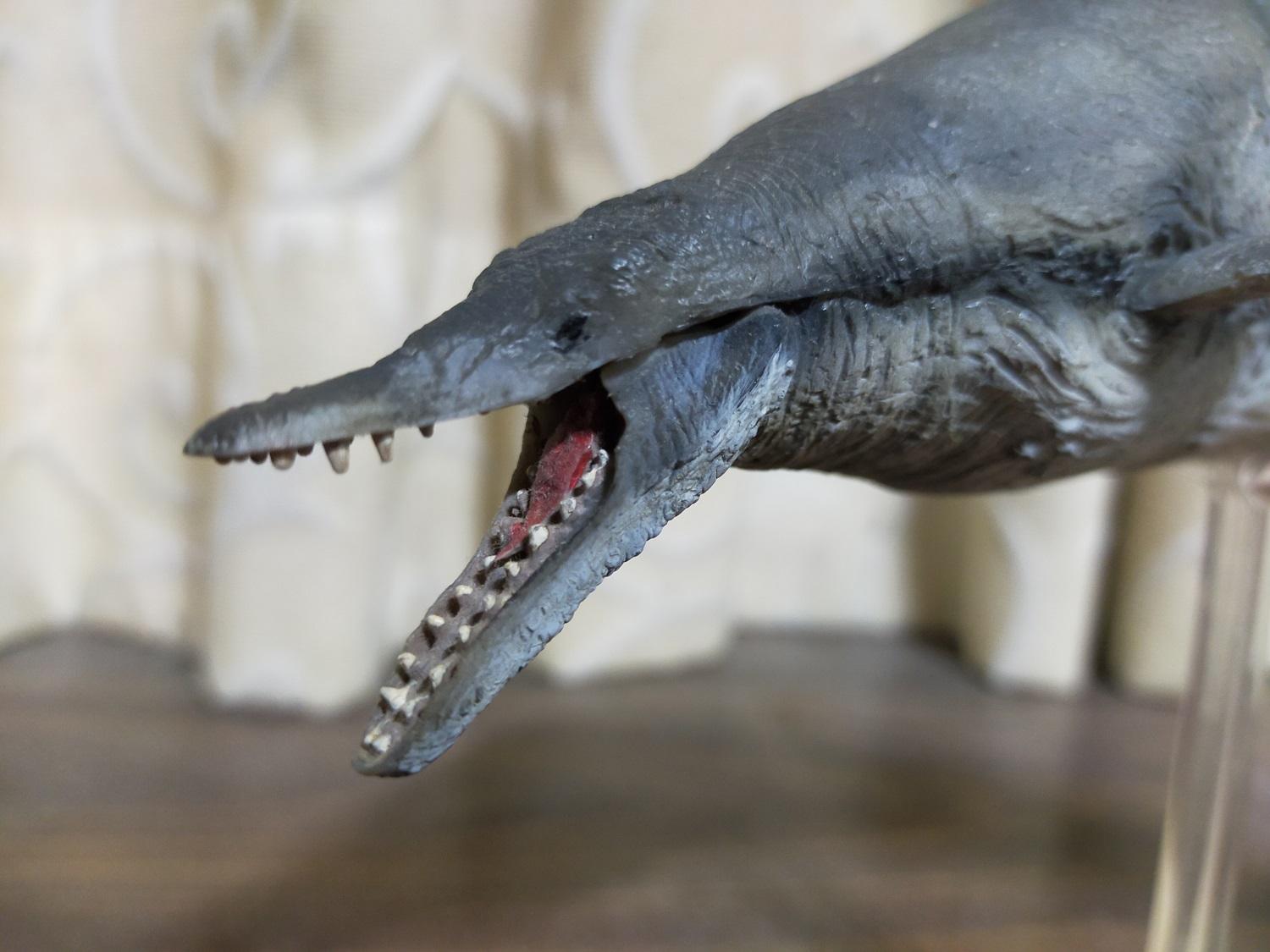 [達人專欄] 中國PNSO牌 恐龍大王系列 Basilosaurus & Megalodon 龍王鯨 巨齒鯊 - leviathan728的 ...